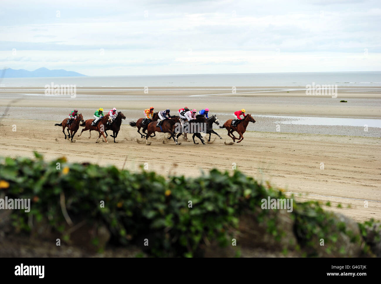 Horse Racing - Laytown races Stock Photo - Alamy