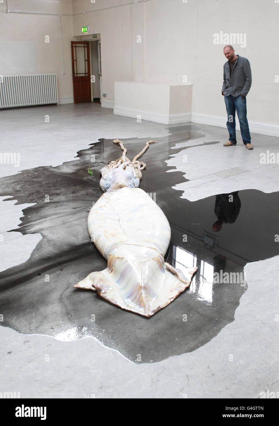 David zink yi hi-res stock photography and images - Alamy