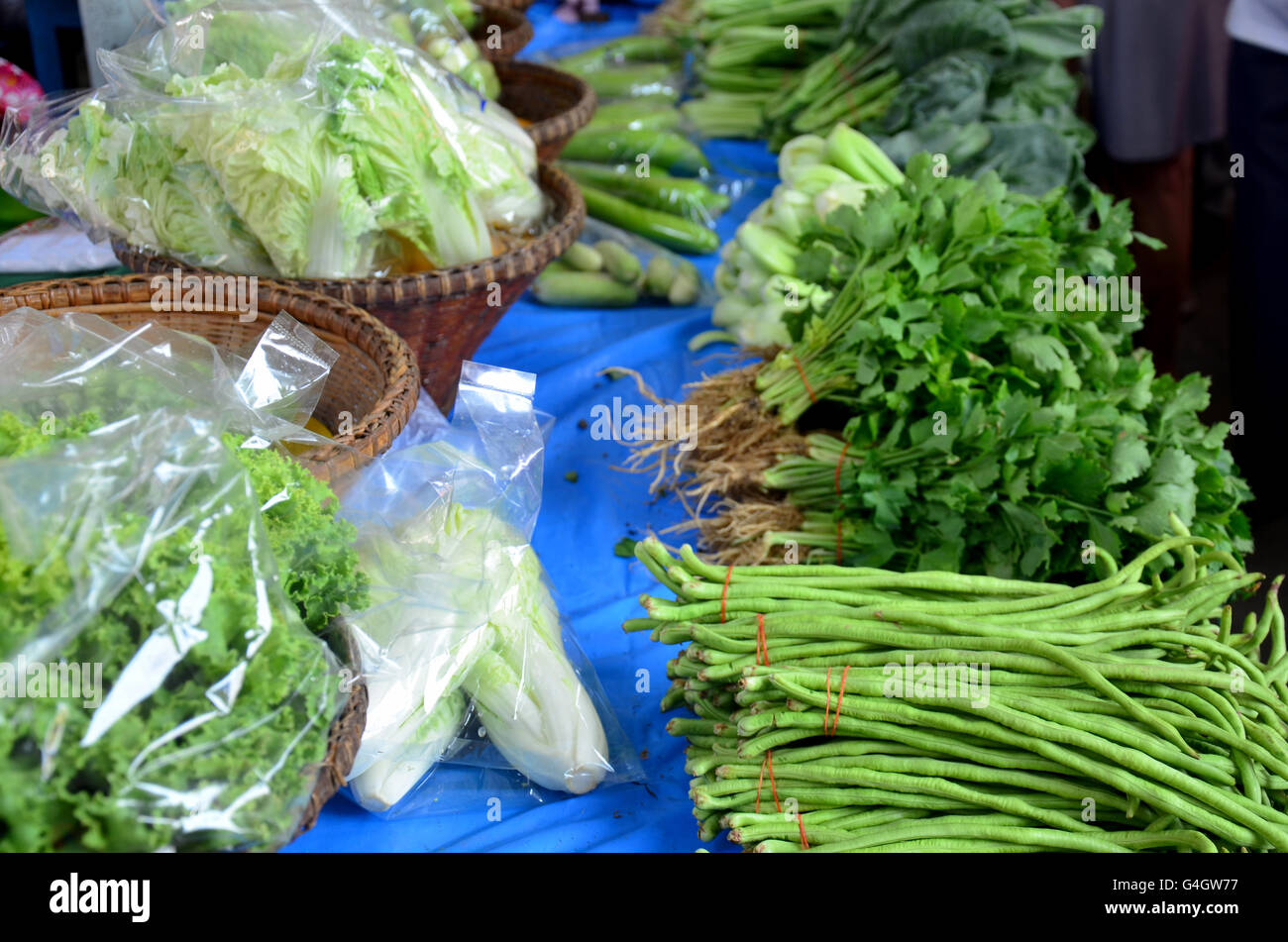 Many vegetable for sale at Sai Noi floating market in Nonthaburi ...