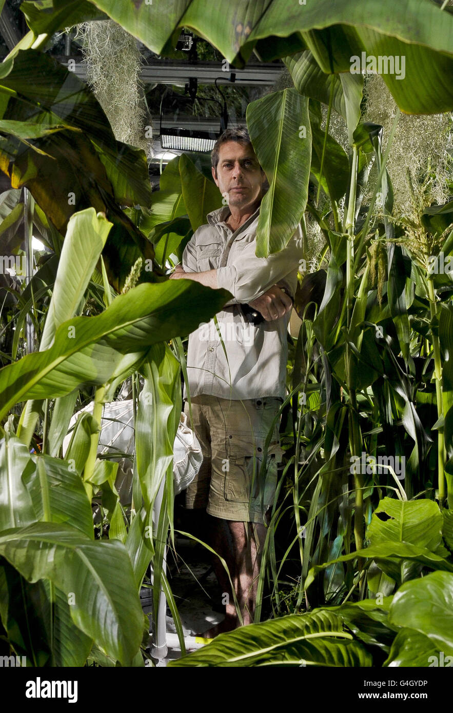 Professor Iain Stewart plant experiment Stock Photo - Alamy