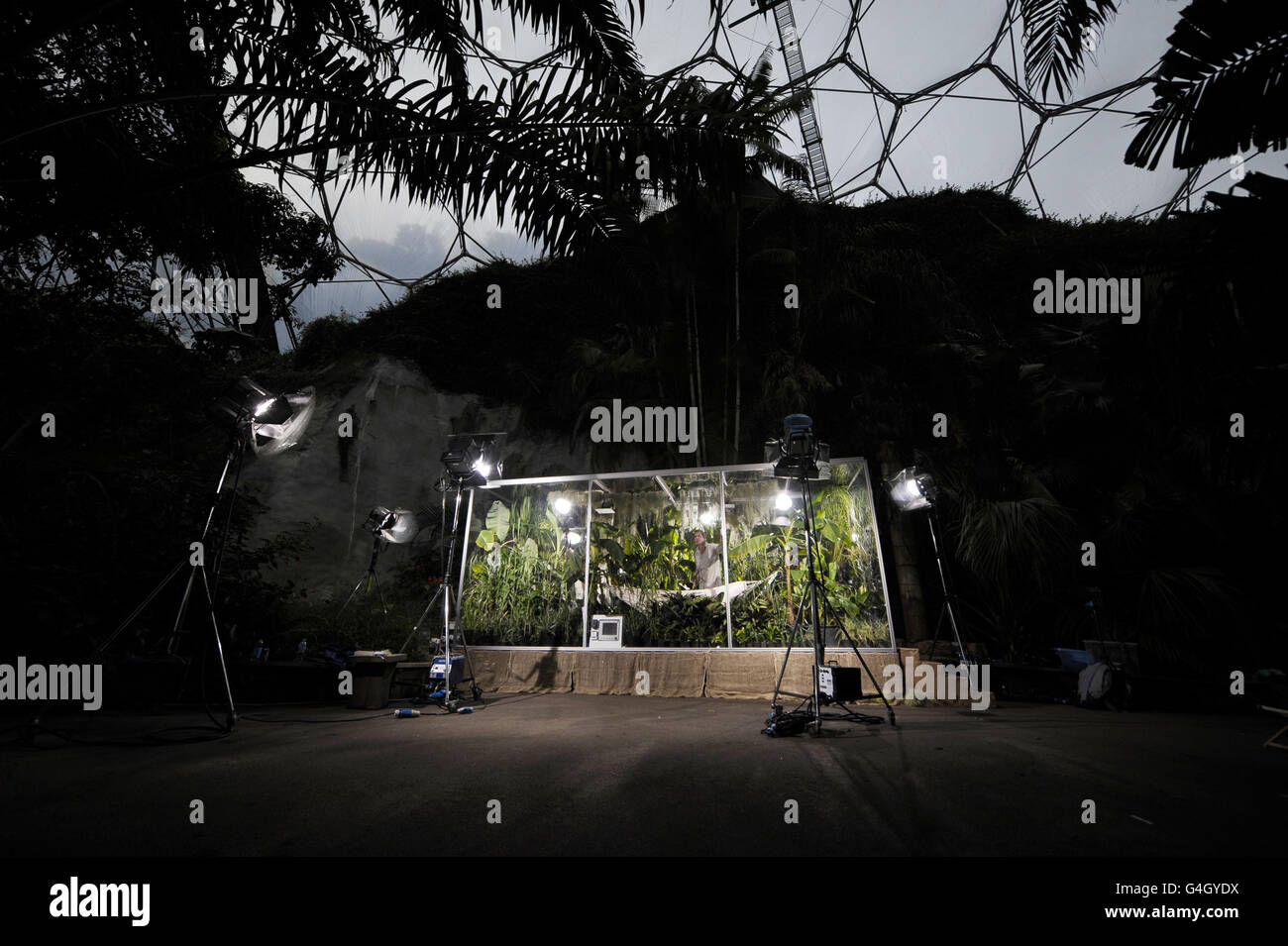 Professor Iain Stewart plant experiment Stock Photo - Alamy