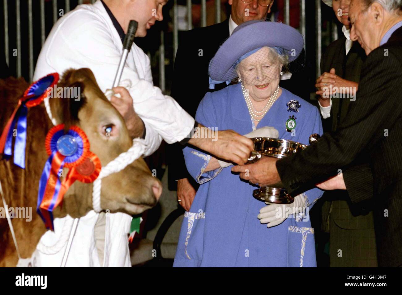 Archie macgregor hi-res stock photography and images - Alamy