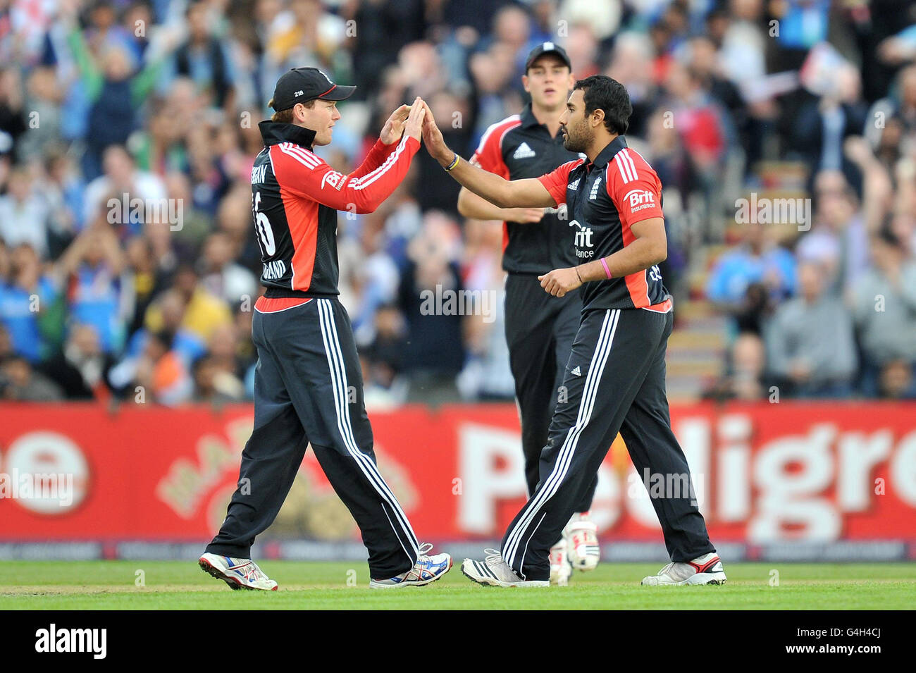 Cricket england full length celebrating profile mangrr hi-res stock ...