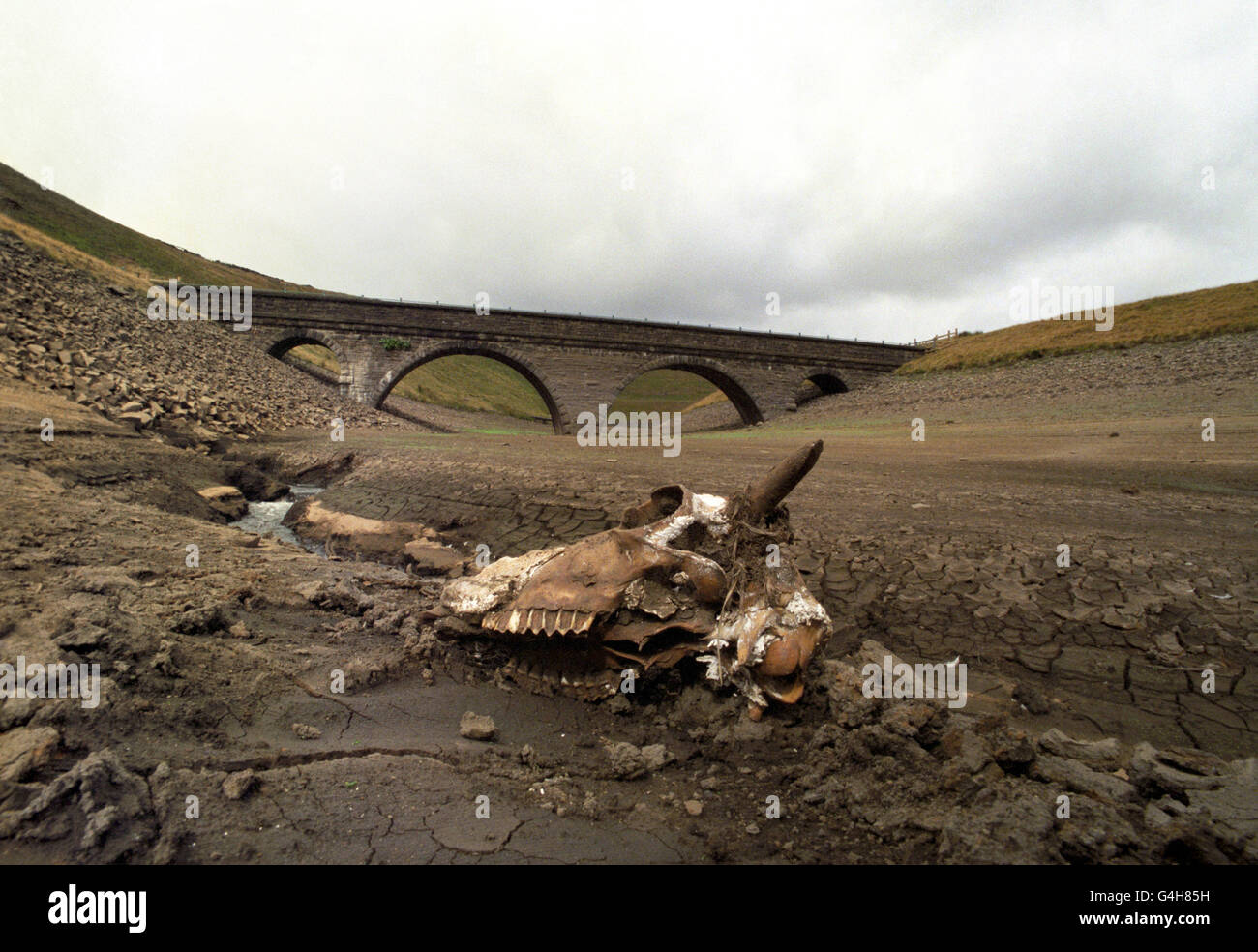 Dry lands in the Pennies, where feeder rivers for North West Reservoirs ...