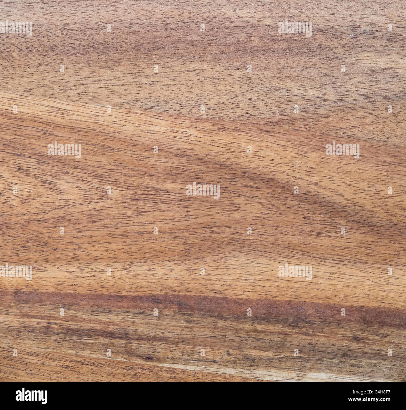 tree wood textures Stock Photo - Alamy