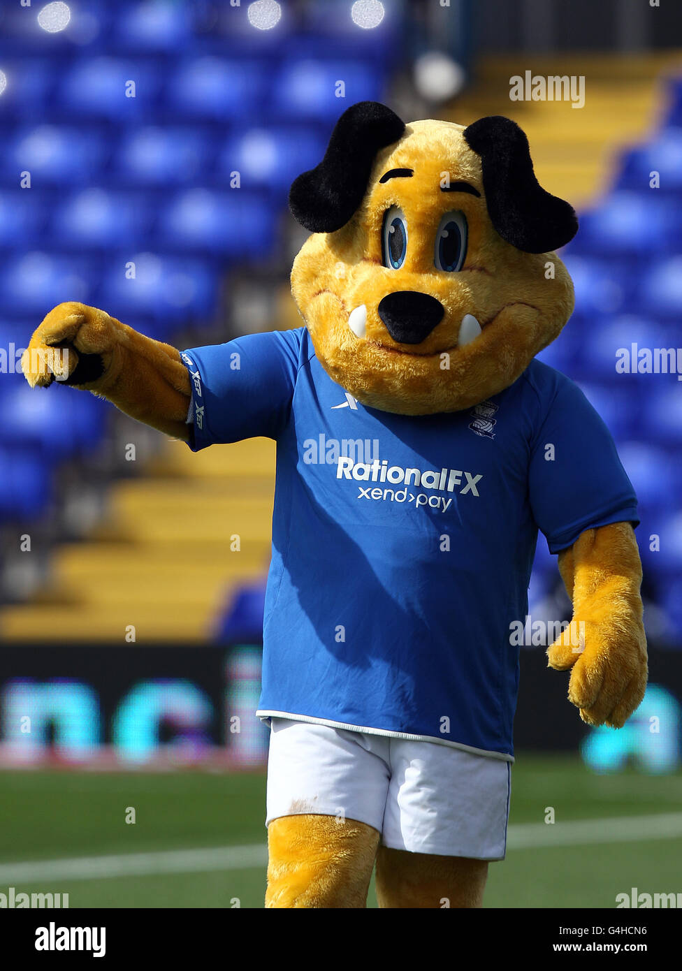 Millwall Mascot High Resolution Stock Photography and Images - Alamy