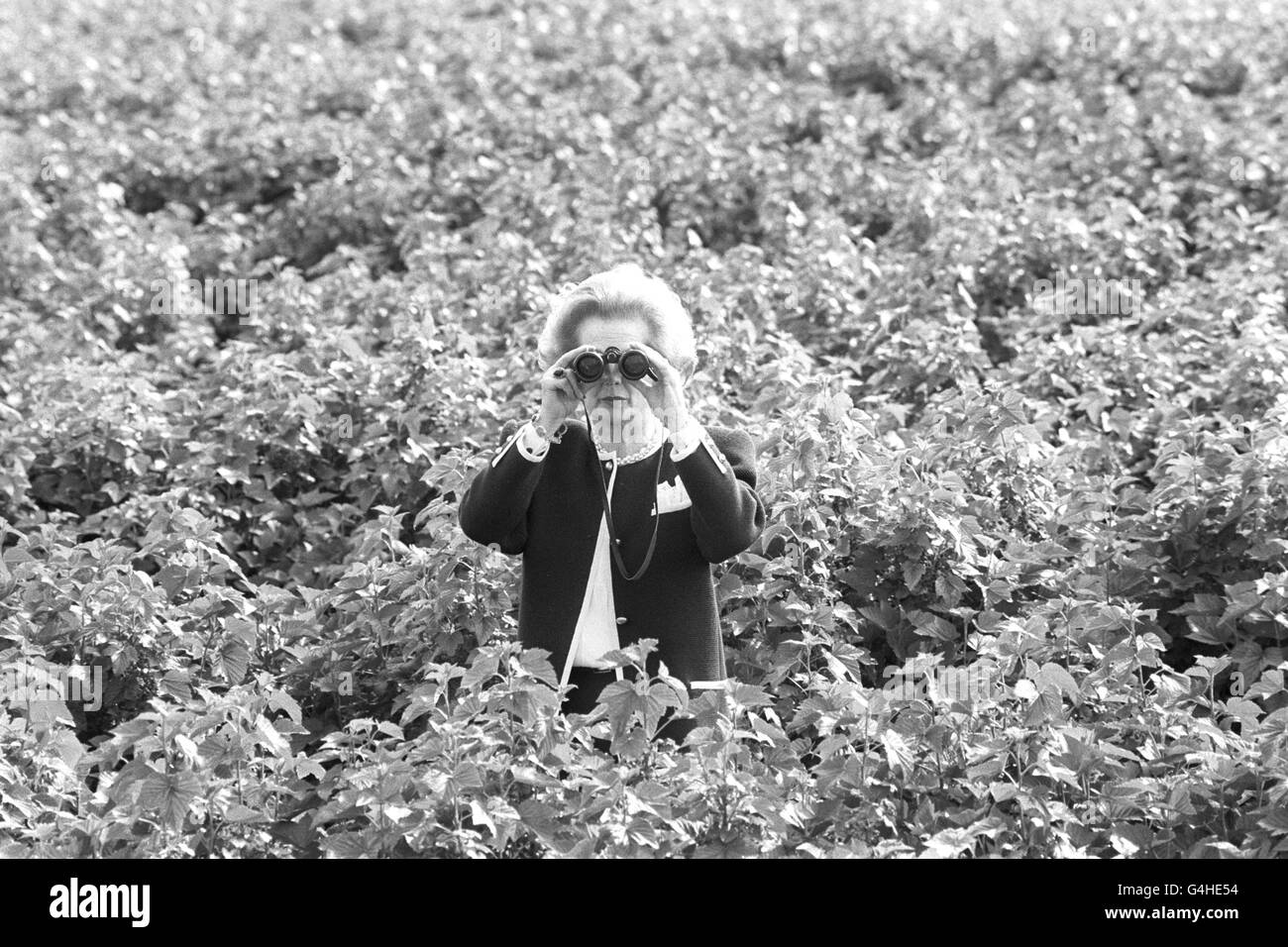 Thatchgal margaret thatcher thatcherobit margaretthatcher hi-res stock ...