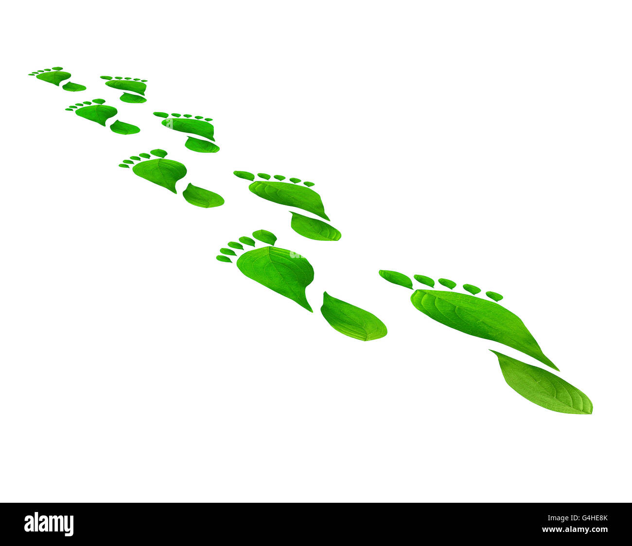 Green leaves foot stepsisolated over white background. Environmental ...