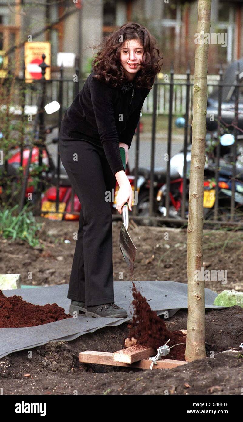 London street trees planting hi-res stock photography and images - Alamy