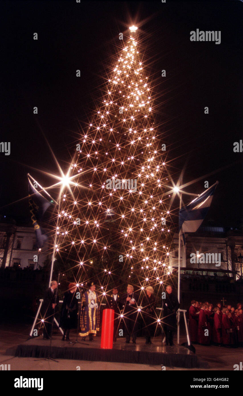 THE 75 FOOT CHRISTMAS TREE IN TRAFALGAR SQUARE, LONDON, GIVEN TO ...