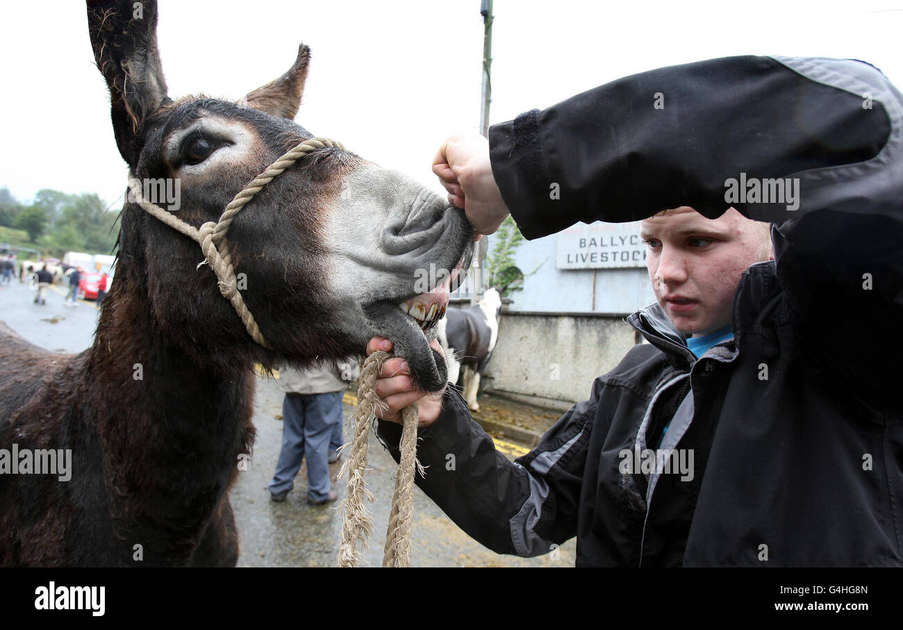 Ould Lammas Fair. Ross McAuley, from Banbridge, at the Ould Lammas Fair ...