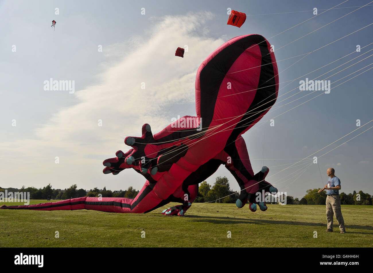 A 96 foot inflatable kite shaped like a geko struggles to get off the ...