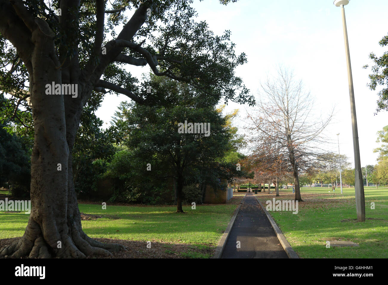 Enmore Park, Marrickville in Sydney, Australia Stock Photo - Alamy