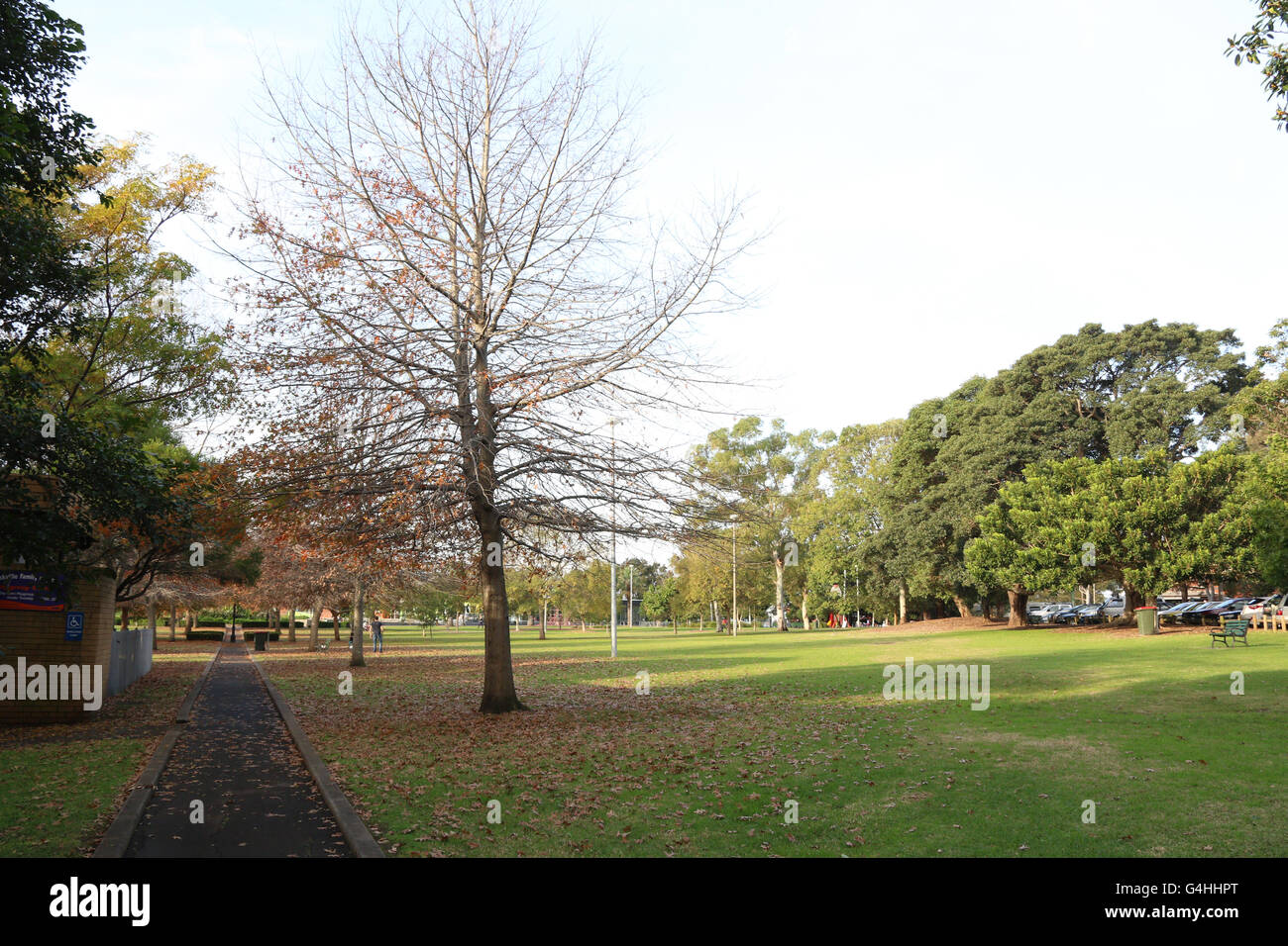 Enmore Park, Marrickville in Sydney, Australia Stock Photo - Alamy