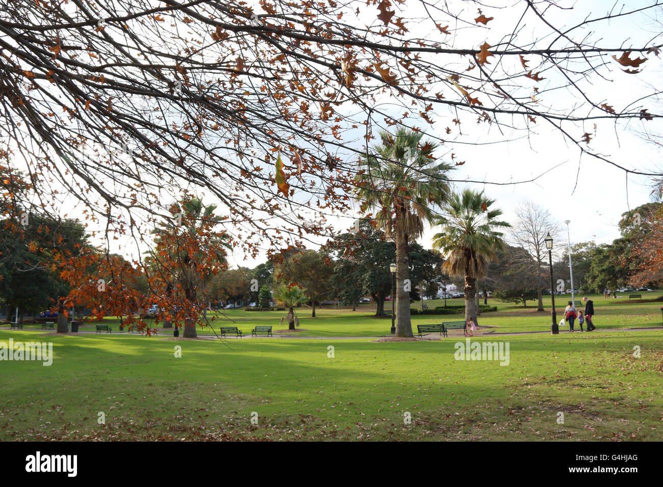 Enmore Park, Marrickville in Sydney, Australia Stock Photo - Alamy