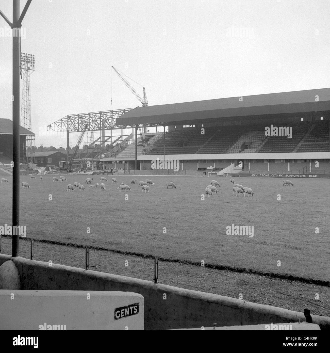 Victoria ground stoke hi-res stock photography and images - Alamy