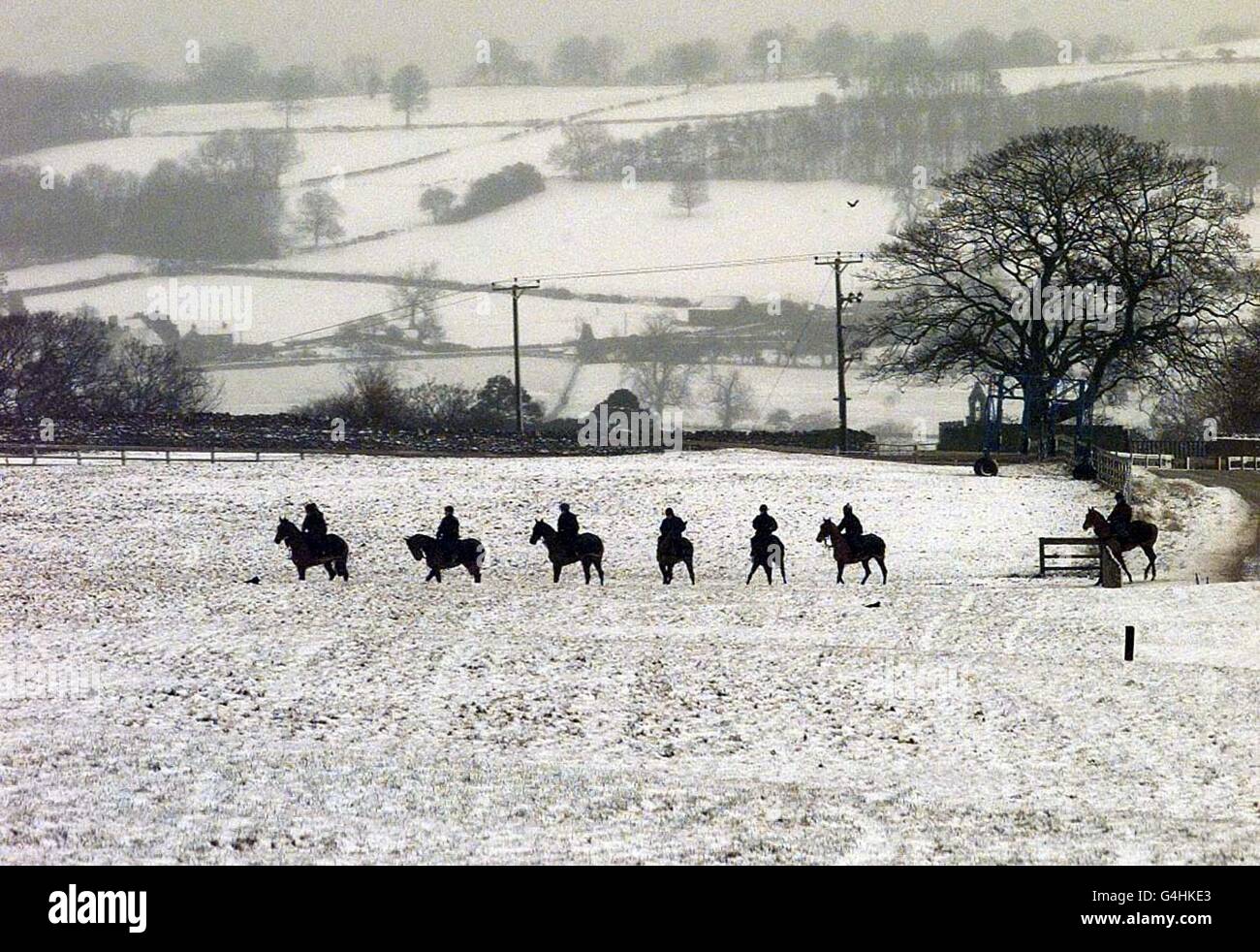 Horseracing with train hi-res stock photography and images - Alamy