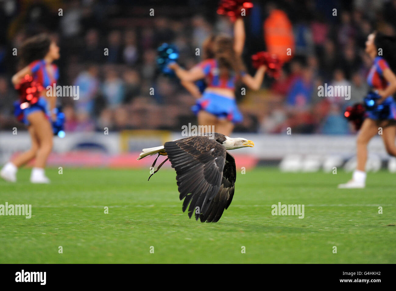 Crystal Palace mascot Kayla the Eagle fly's across the pitch Stock ...