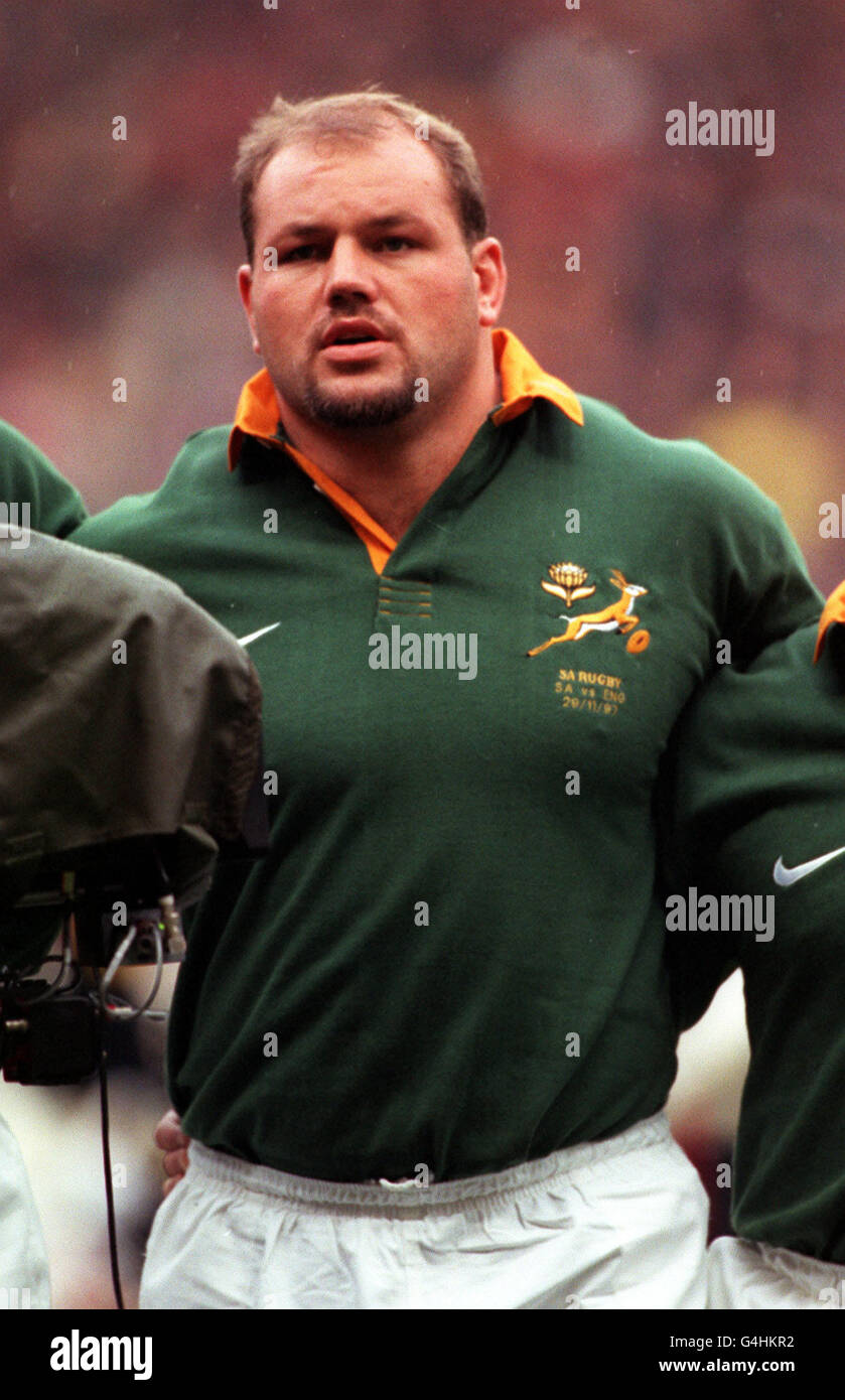 1 2 half length portrait green sport rugby union springboks hi-res ...
