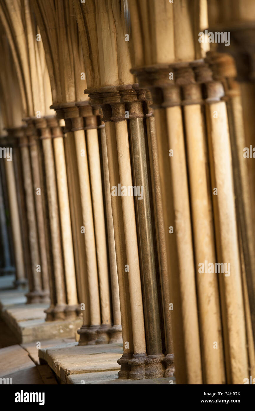 Supporting columns and pillars Salisbury Cathedral Stock Photo - Alamy