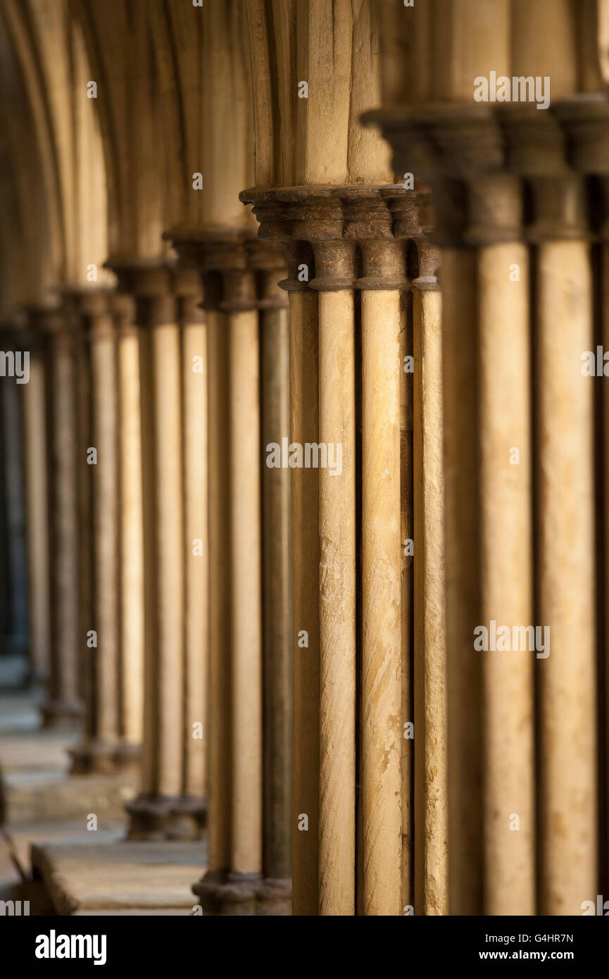 Supporting columns and pillars Salisbury Cathedral Stock Photo - Alamy