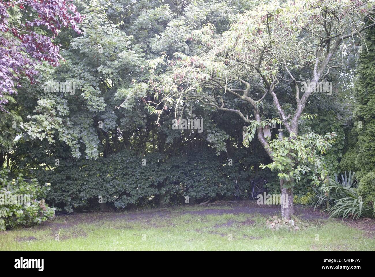 Trees bushes plants hi-res stock photography and images - Alamy