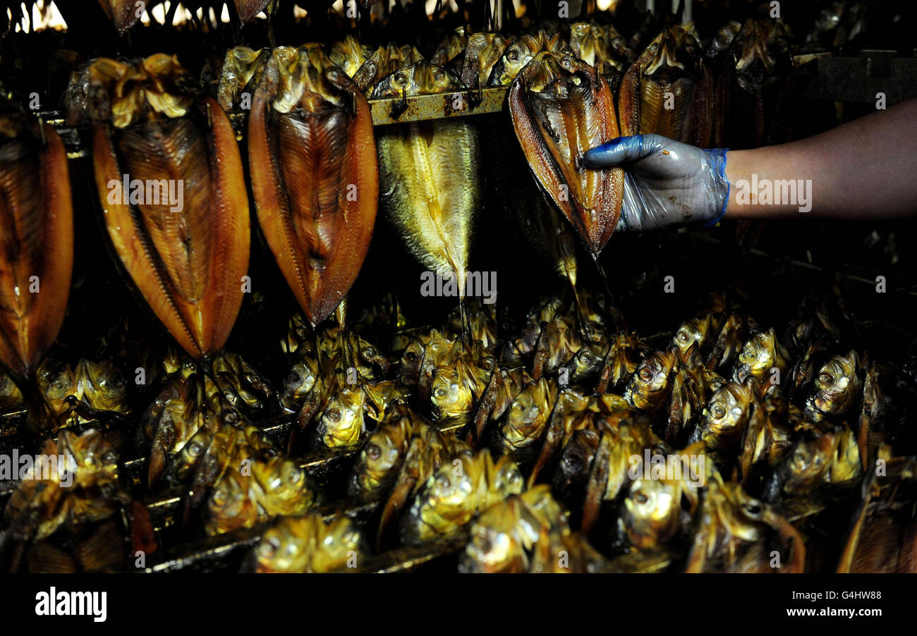 Kipper factory hi-res stock photography and images - Alamy