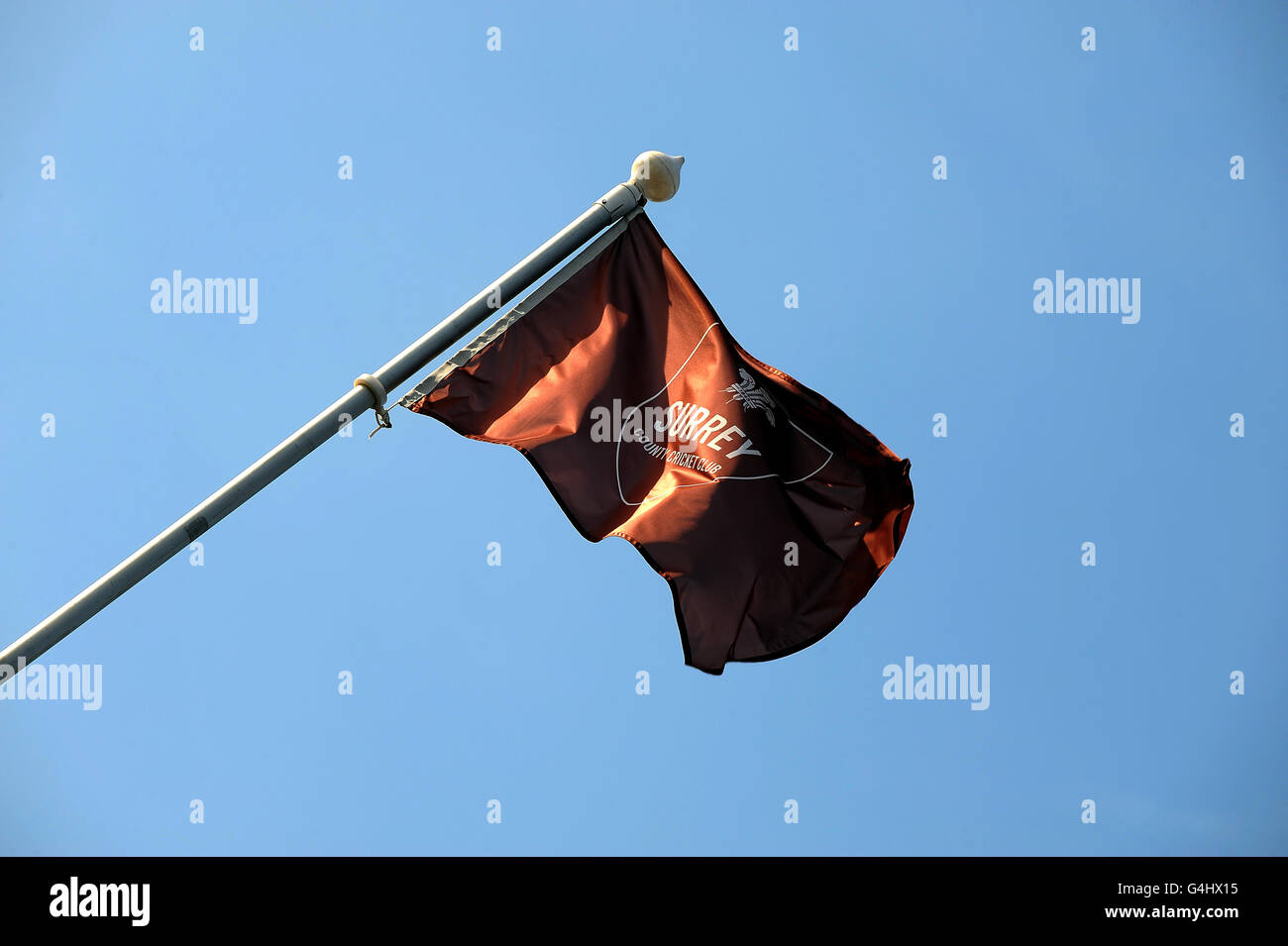 Surrey county cricket club flag at the kia oval hi-res stock ...