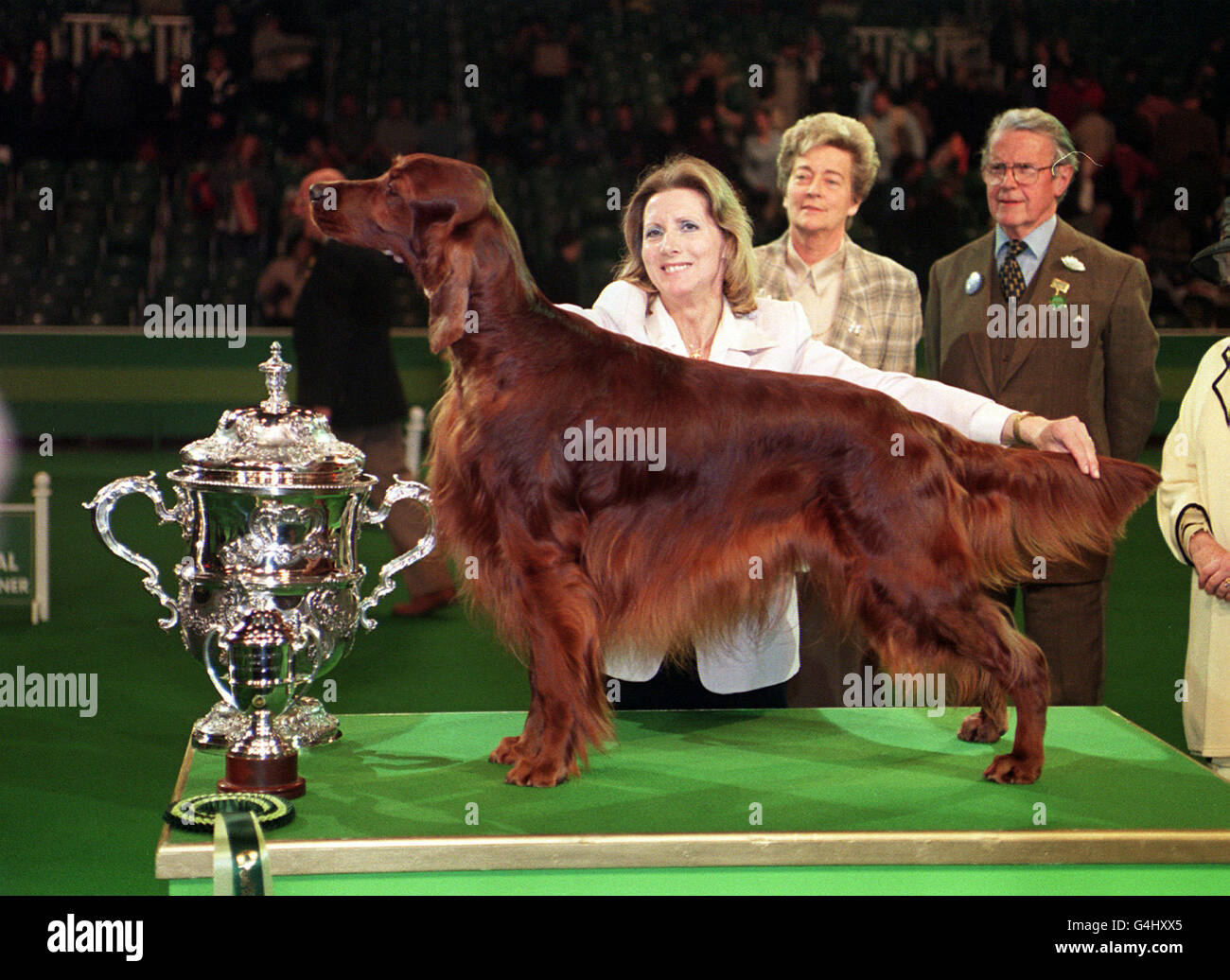 Which was crowned crufts supreme champion at the nec birmingham hi-res ...