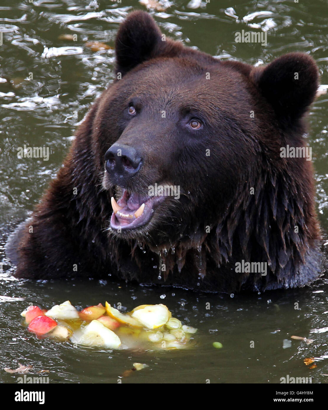 Autumn weather September 30th Stock Photo - Alamy