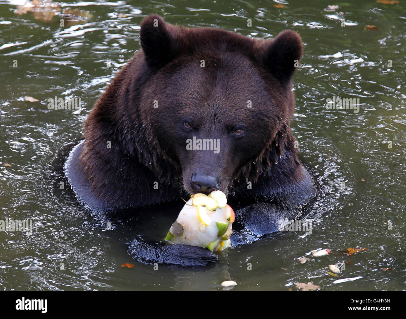 Weather autumn wip hi-res stock photography and images - Alamy