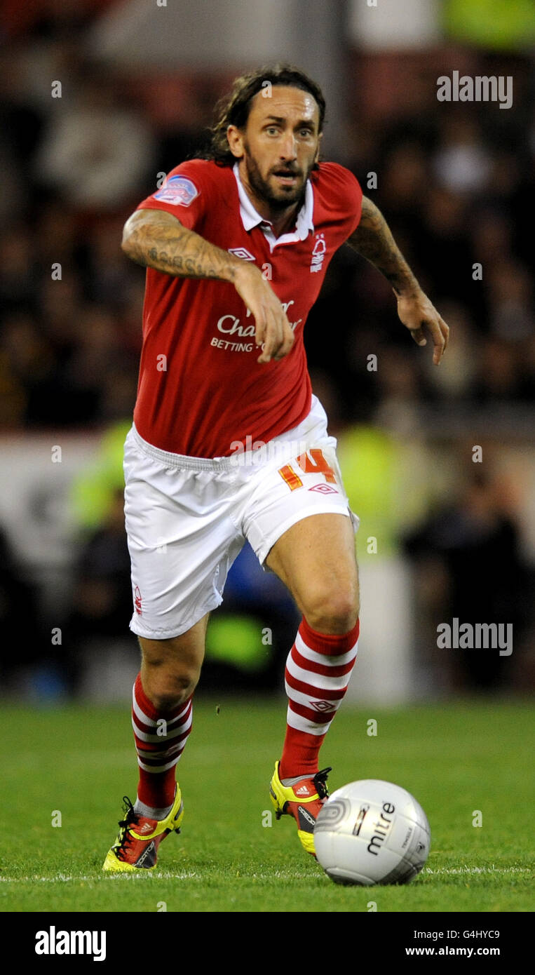 Jonathan greening forest hi-res stock photography and images - Alamy