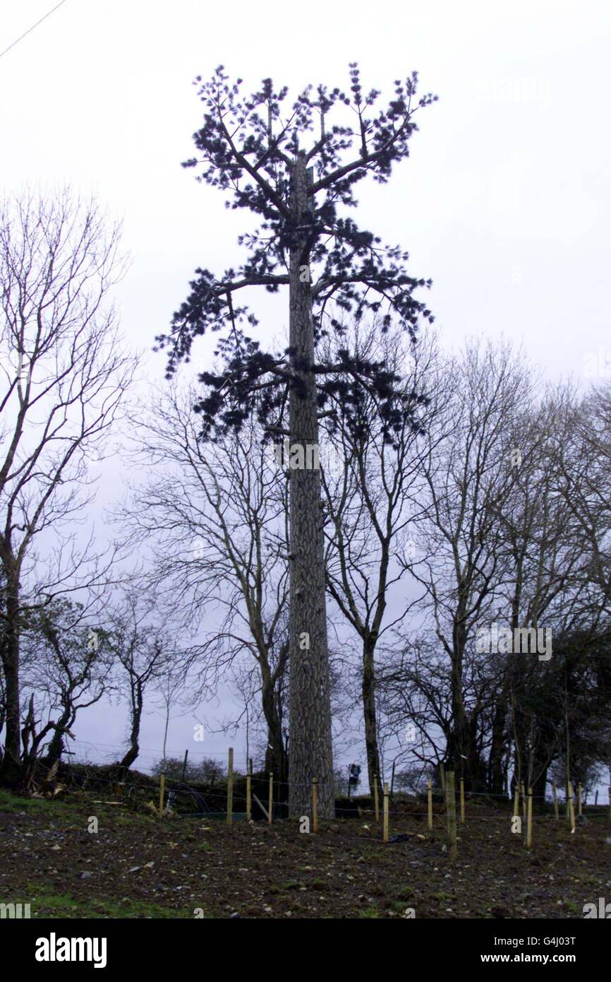 Mobile Phone Mast/tree Stock Photo - Alamy