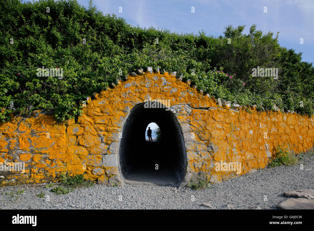Newport rhode island mansions hi-res stock photography and images - Alamy
