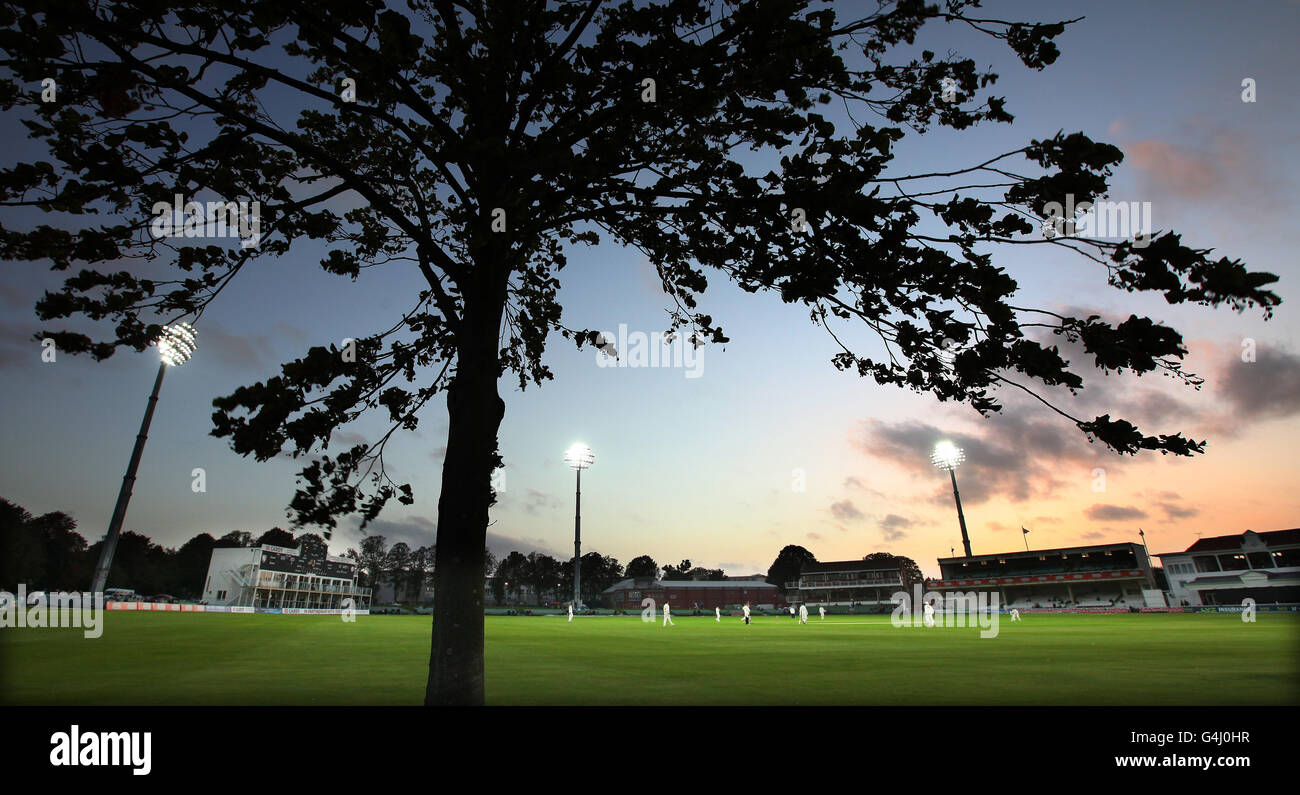 St lawrence ground tree hi-res stock photography and images - Alamy