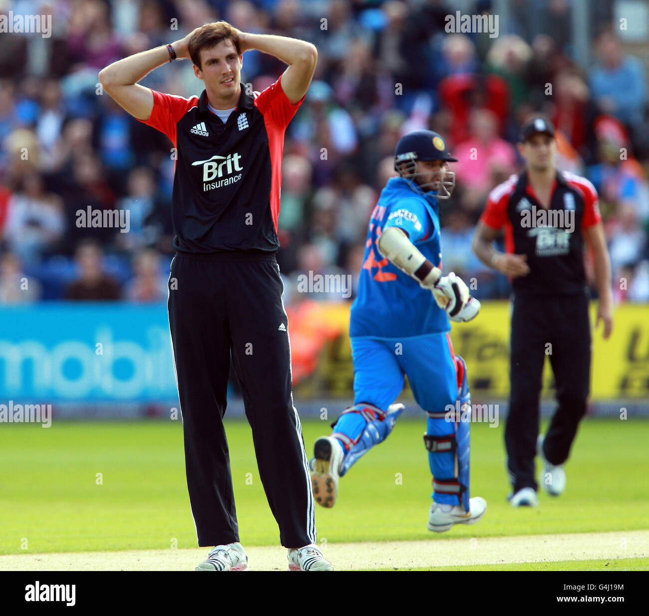 Steve finn hi-res stock photography and images - Alamy