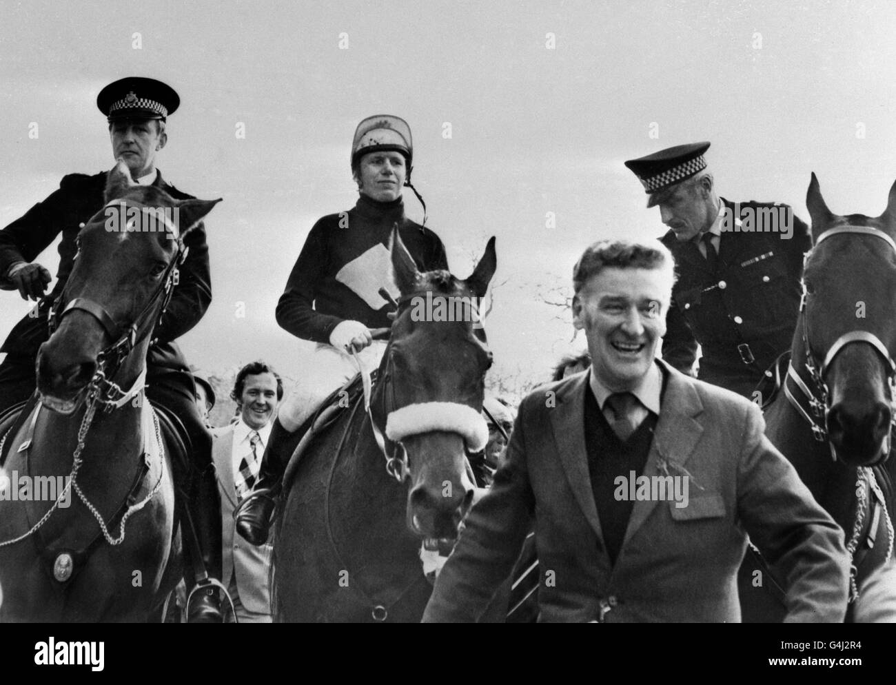 Red rum horse hi-res stock photography and images - Alamy