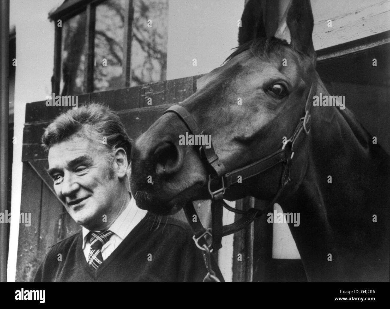 Red rum horse hi-res stock photography and images - Alamy