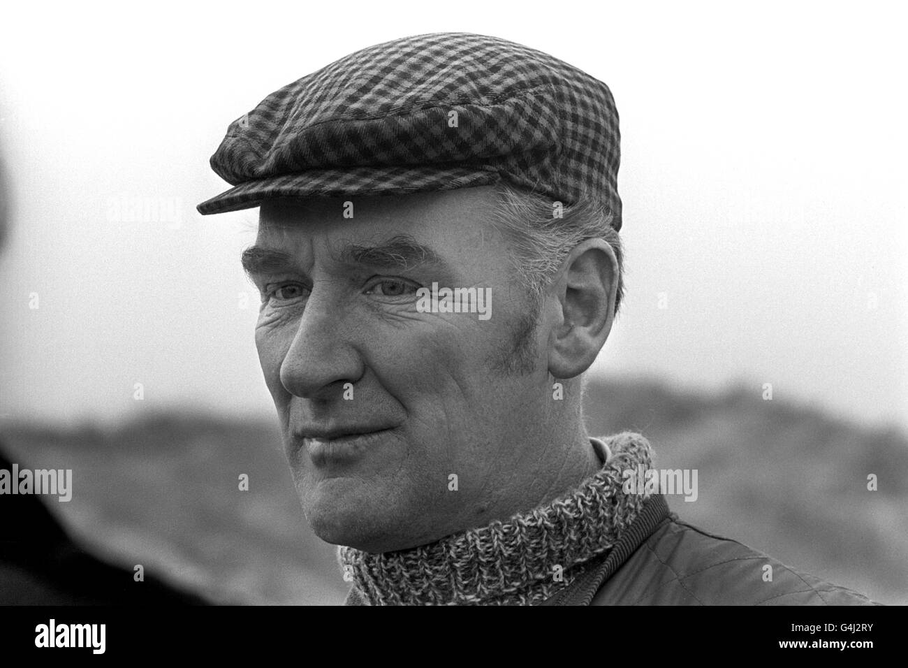 Red rum horse hi-res stock photography and images - Alamy