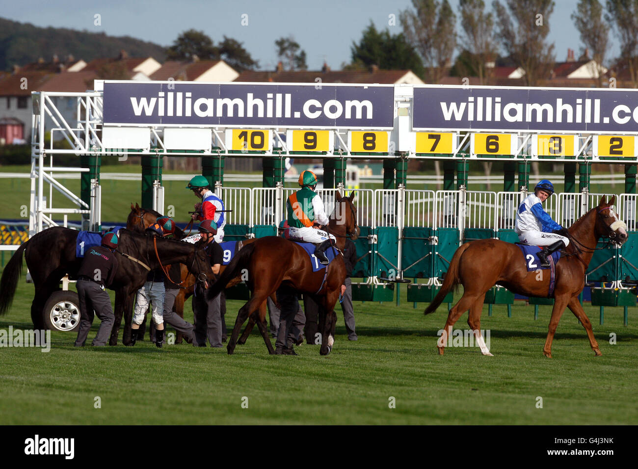 Horse Racing - William Hill Ayr Gold Cup Festival - Day One - Ayr ...