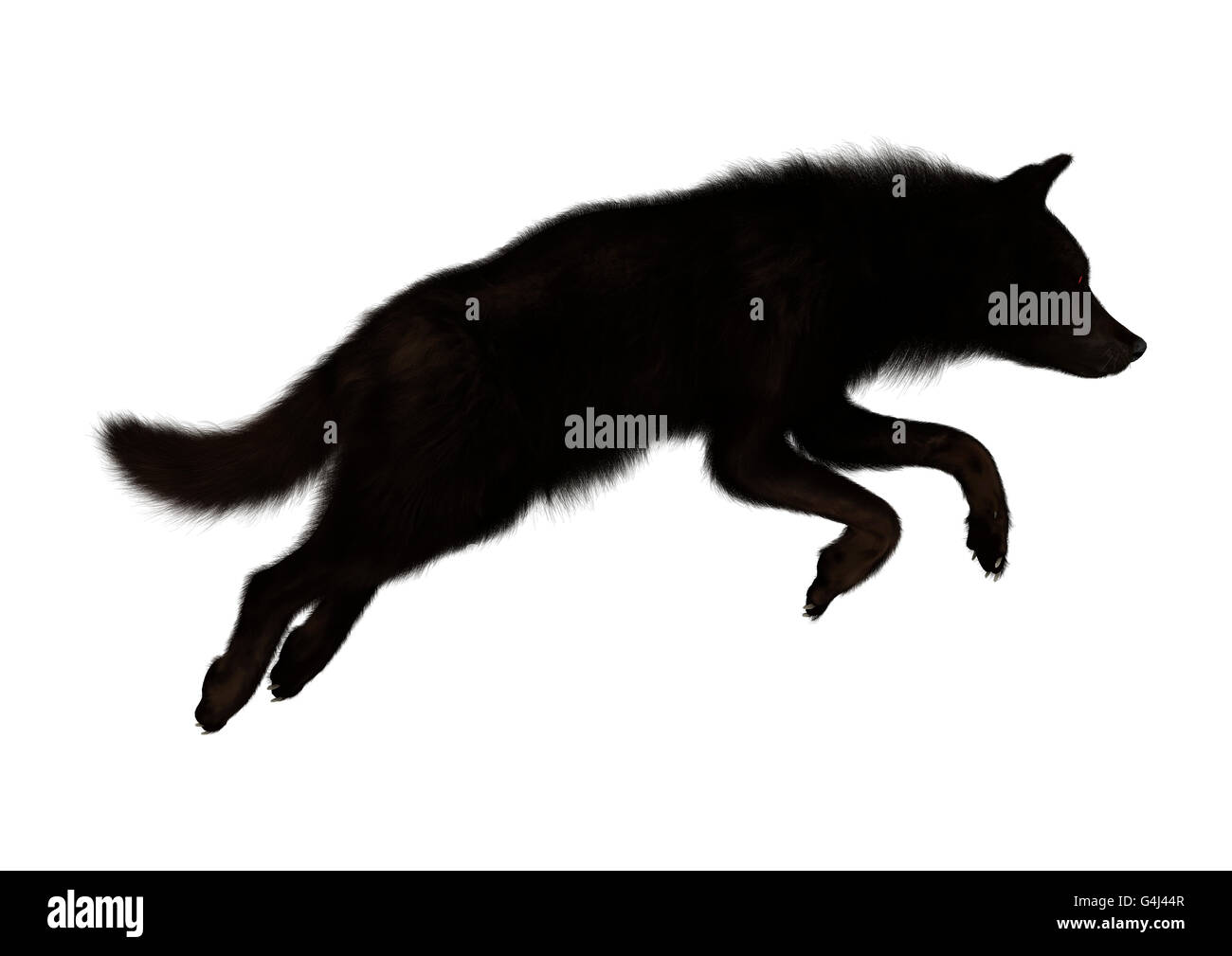 Black wolf Cut Out Stock Images & Pictures - Alamy