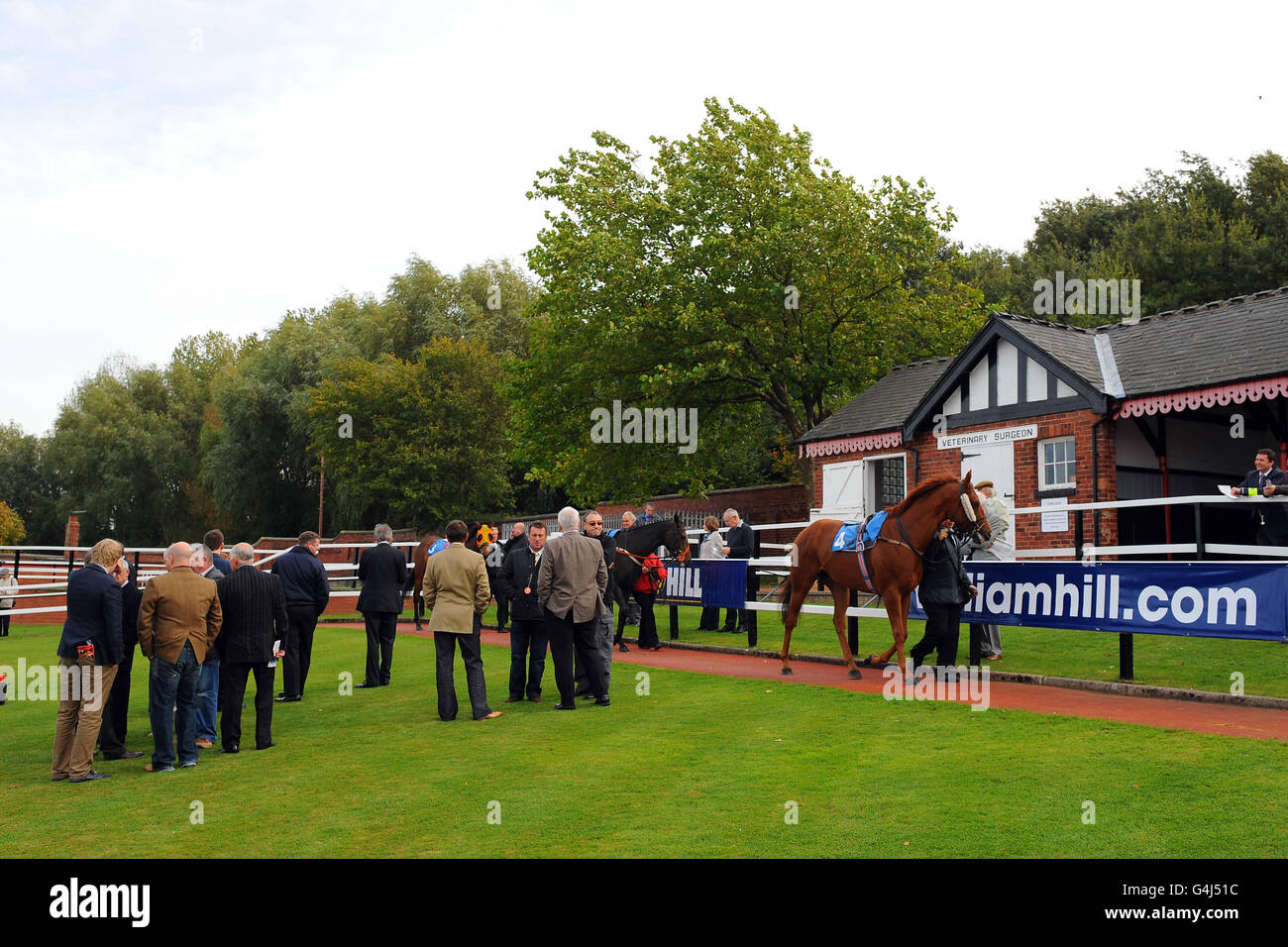 Horses are lead around the parade ring hi-res stock photography and ...
