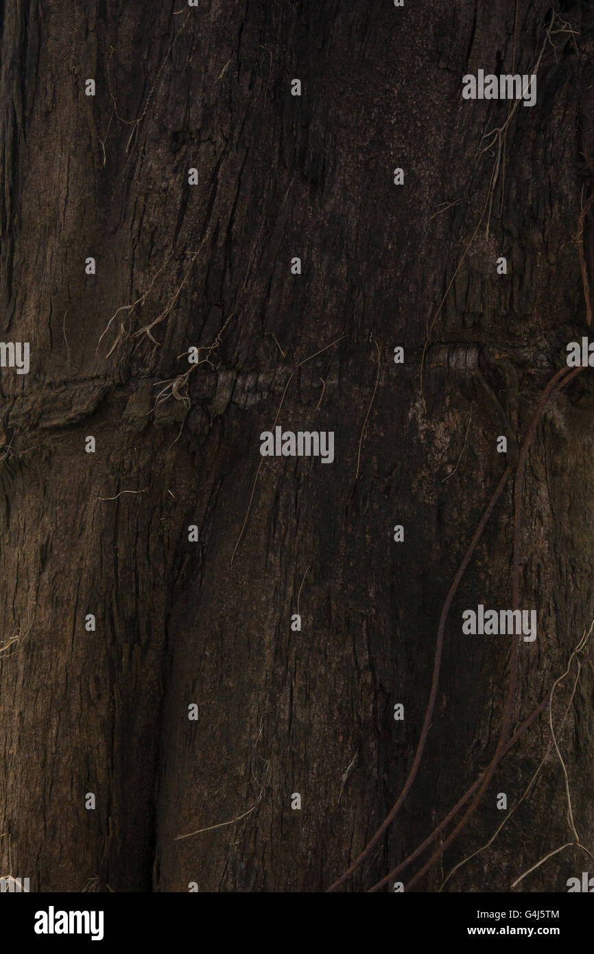 Step texture hi-res stock photography and images - Alamy