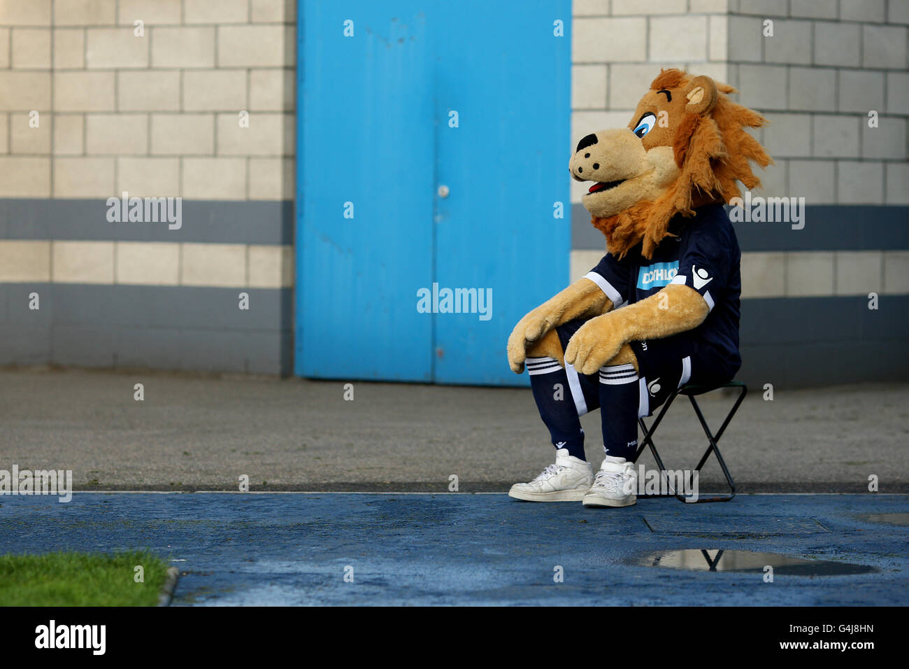 Millwall mascot zampa lion hi-res stock photography and images - Alamy