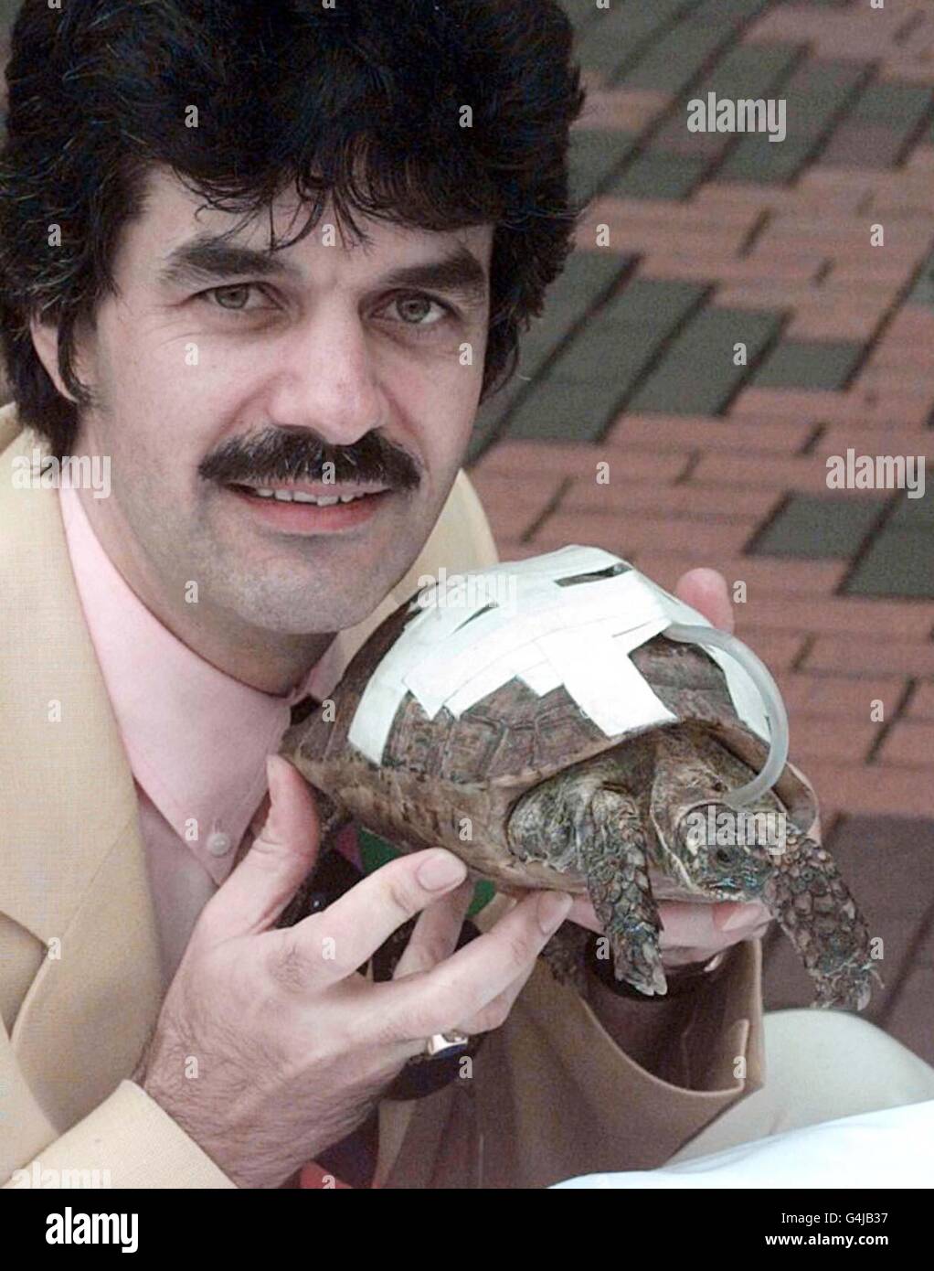 Veterinary surgeon Mike Jessop with "Elizabeth" , a tortoise recovering ...