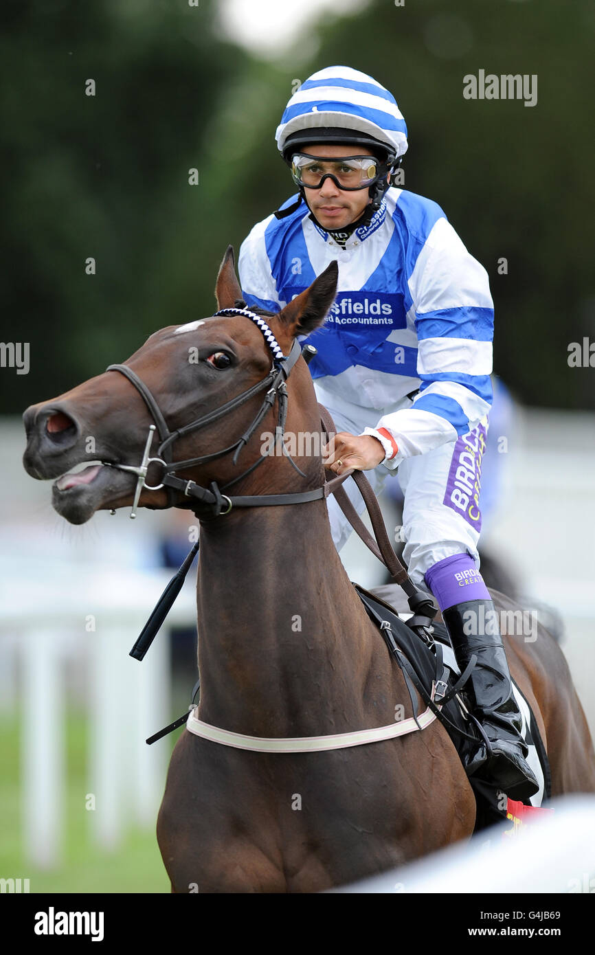 Hughs hi-res stock photography and images - Alamy
