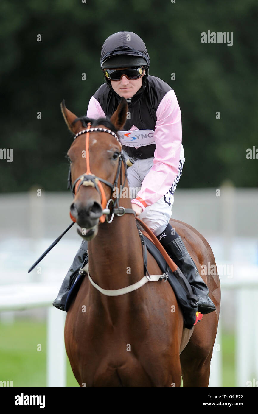 Hughs hi-res stock photography and images - Alamy