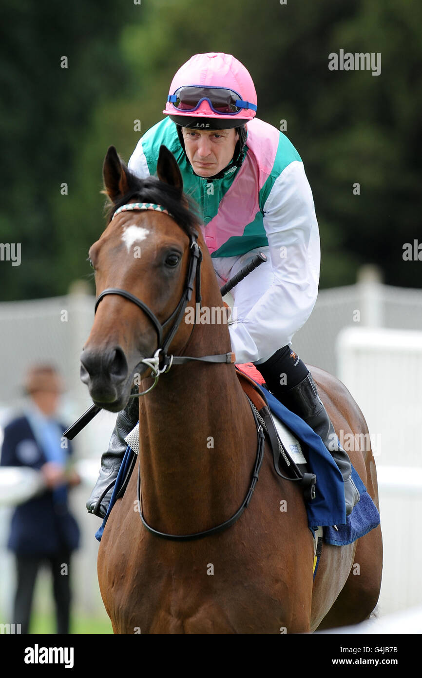 Jockey steve drowne at newbury racecourse hi-res stock photography and ...
