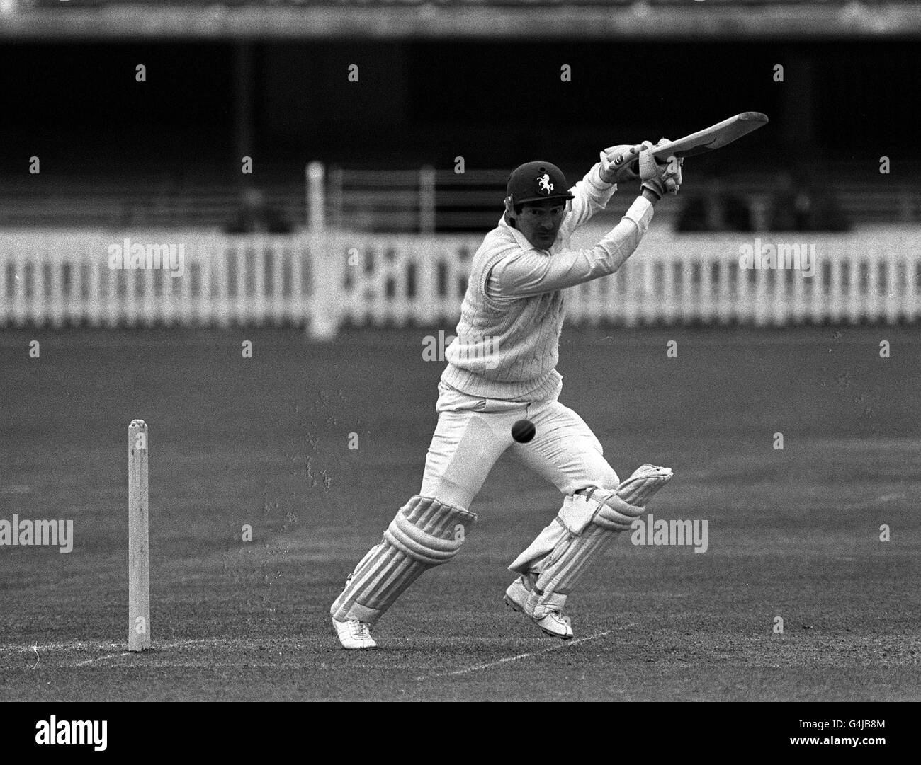 ALAN KNOTT Stock Photo - Alamy