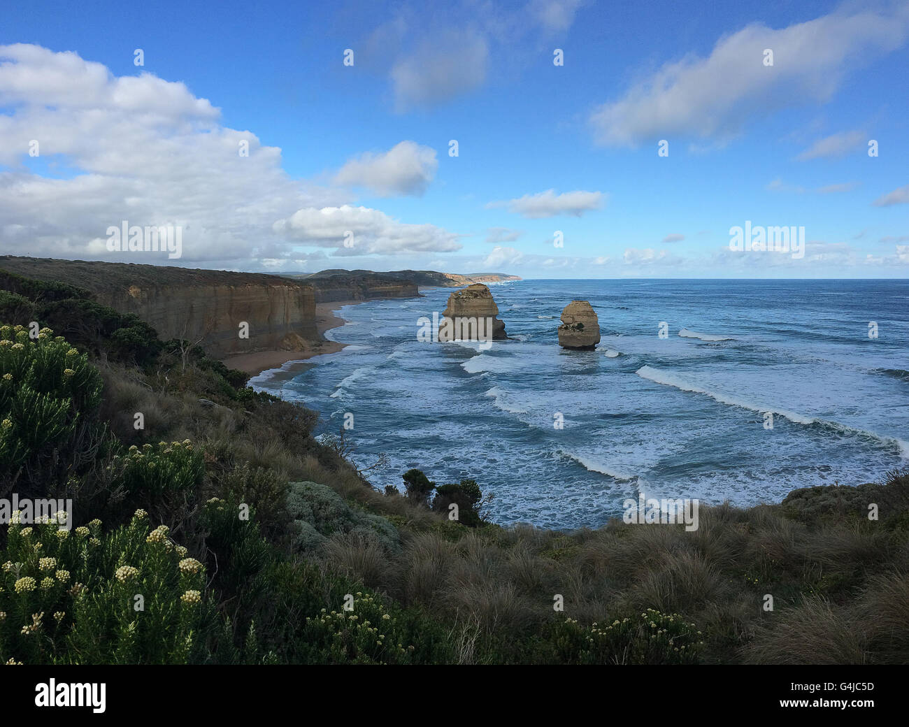 Apostles flower hi-res stock photography and images - Alamy